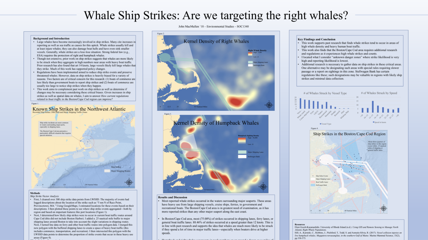 Whale Ship Strikes: Are we targeting the right whales | Spatial ...
